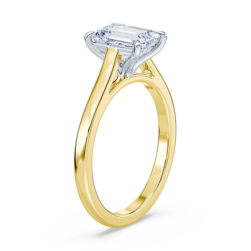 Emerald Cut Cathedral Engagement Rings | Plum Diamonds