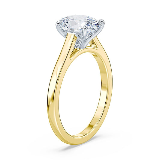 Oval Cut Cathedral Engagement Rings | Plum Diamonds